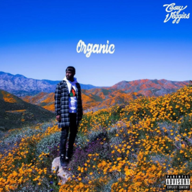 New Album: Casey Veggies ‘Organic’ - Rap Radar