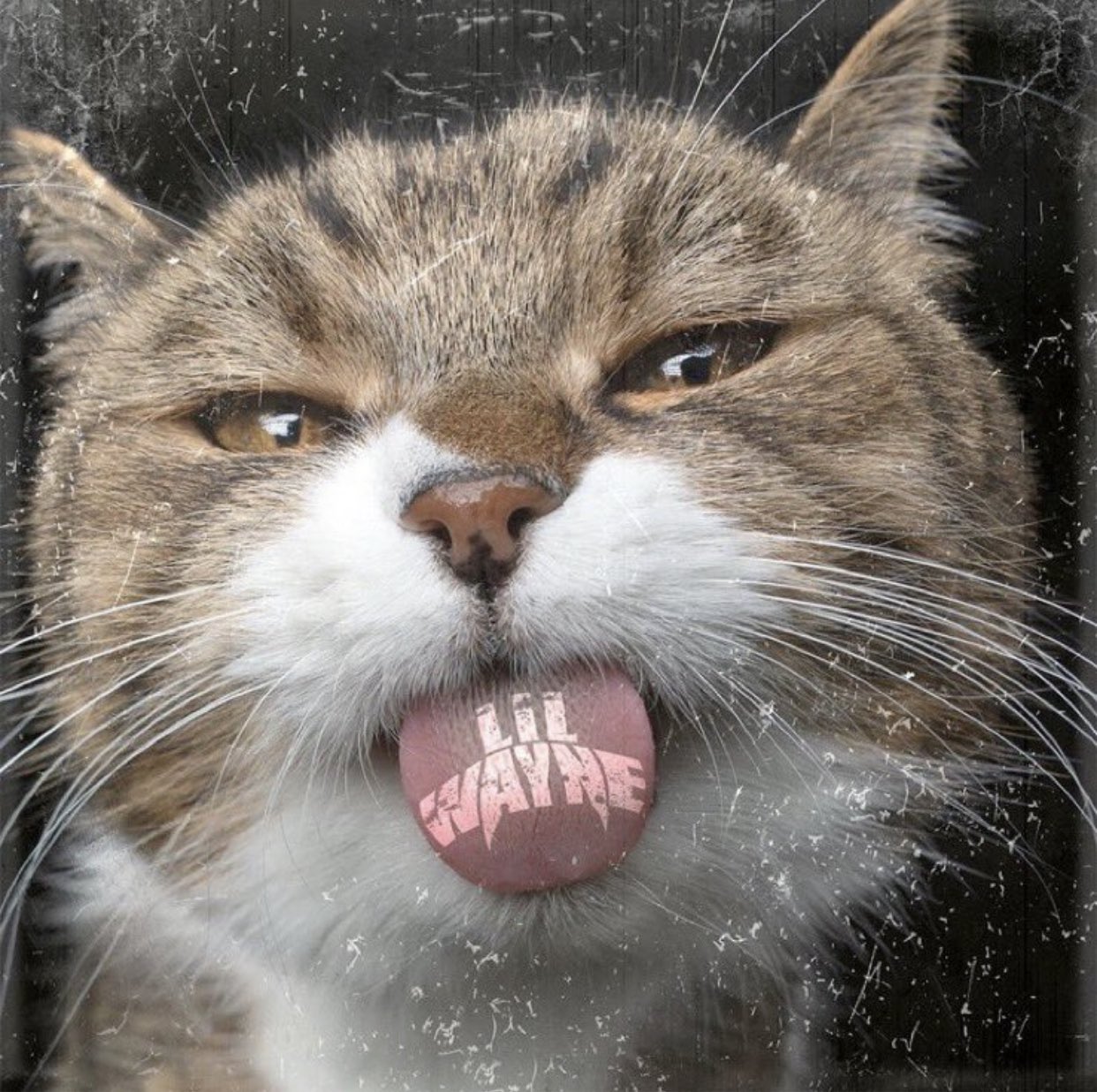 Lil Wayne “Kat Food” - Rap Radar