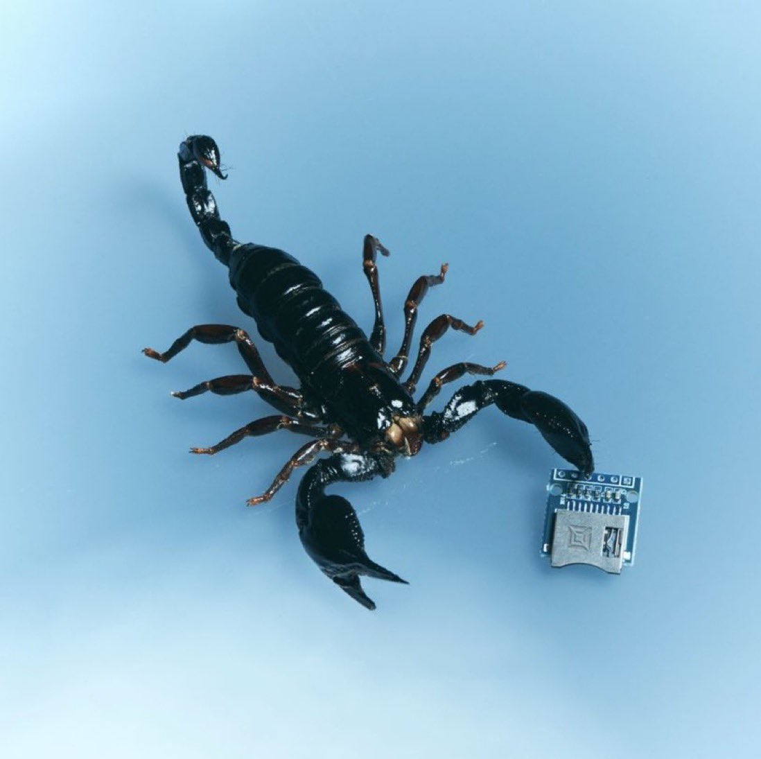 Miguel Ft. Lil Yachty “Number 9” - Rap Radar