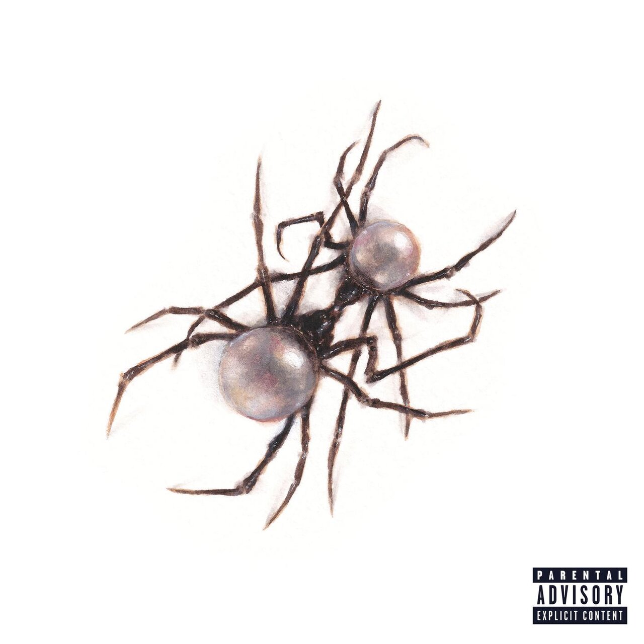 Album: Doja Cat ‘Scarlet’ - Rap Radar